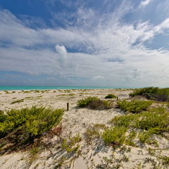 Isla Blanca